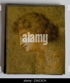 David Gardelle, Idealt ynglingehoved Stock Photo - Alamy