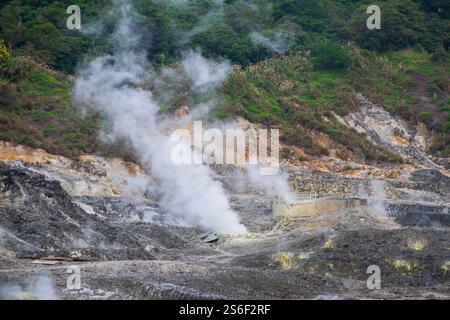 Yangmingshan National Park is home to hot springs near Taipei on the ...