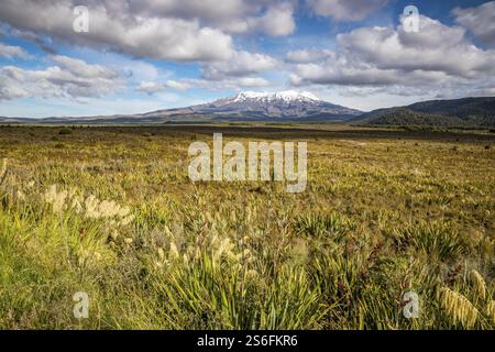 An image of a Mount Ruapehu volcano in New Zealand Stock Photo - Alamy