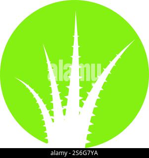 Aloe vera logo vector ilustration template Stock Vector Image & Art - Alamy