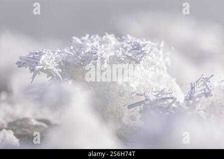 "Mirabilite flowers" appear on the surface of a salt lake in Yuncheng ...
