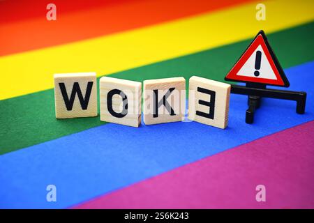 Schriftzug Wokeness auf Regenbogenfahne *** Wokeness lettering on ...