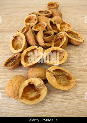 Craft material nutshells: walnut shells cut in half Stock Photo - Alamy