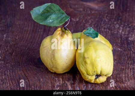 rose apple on wood. dark. night Stock Photo - Alamy