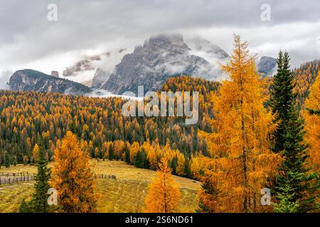 The Dolomite mountain range with fall foliage color near Auronzo di ...
