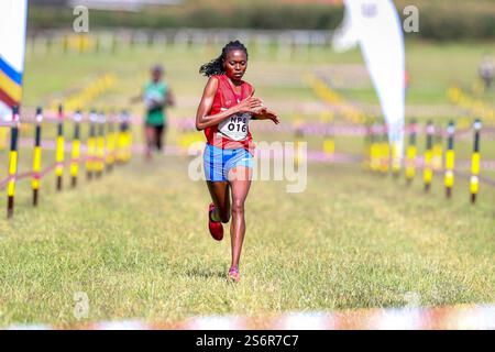 Sheila Chelagat take charge to 10km senior women finishing line to win ...