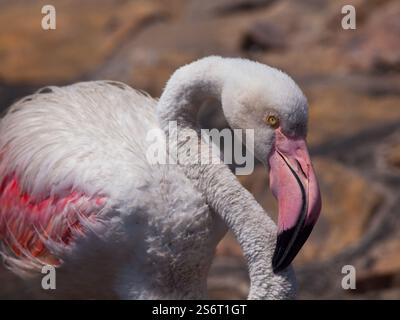 Detailed view of a beautiful big white crashing wave in a stormy day ...
