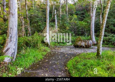 Cedar Circle, designed by Maya Lin, as part of Confluence Project in ...
