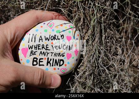 Kindness rock and beard lichen Stock Photo - Alamy