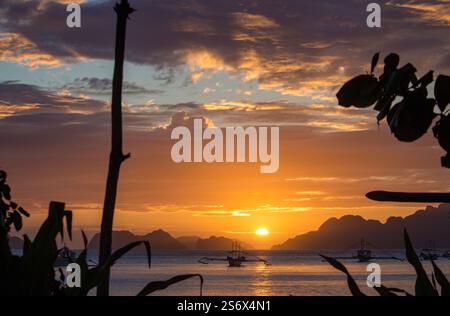 Night view of El Nido harbour, Palawan, the Philippines Stock Photo - Alamy