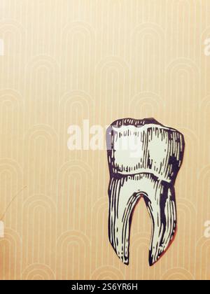 Conceptual collage art of a single tooth Stock Photo - Alamy