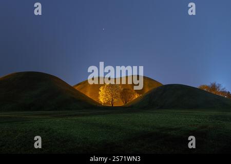 Beautiful Korean scenery with magnolia trees blooming among royal tombs ...