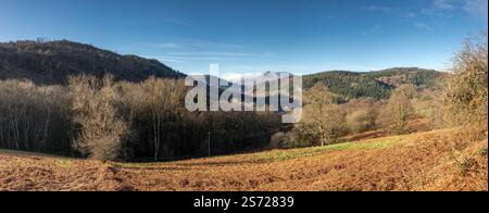 View over Gwydyr forest in the Snowdonia National Park, North Wales ...