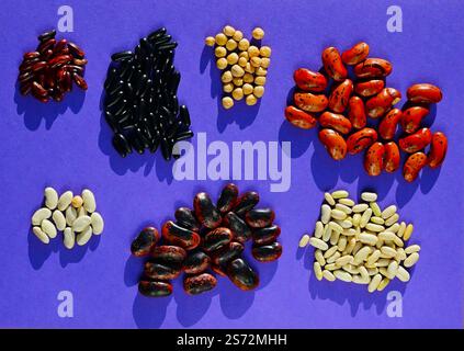 Bean Seed arrangement showing a selection of garden seeds including ...