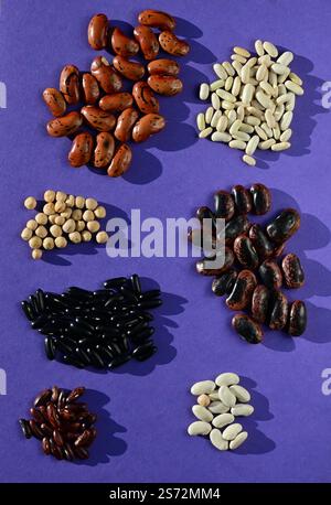 Bean Seed arrangement showing a selection of garden seeds including ...
