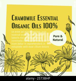 Organic chamomile essential oil, promo banner Stock Vector Image & Art ...