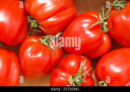 Small bright red deeply ribbed tomatoes isolated on White background ...