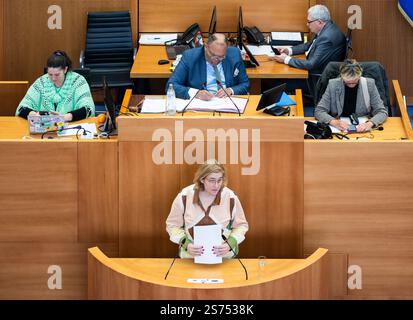 Isabelle Emmery PS at the the plenary sitting of the Brussels Regional ...