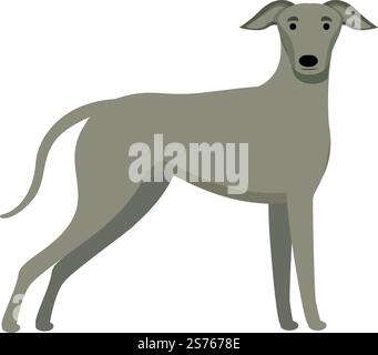 Greyhound run icon cartoon vector. Dog animal. Canine sprint Stock ...