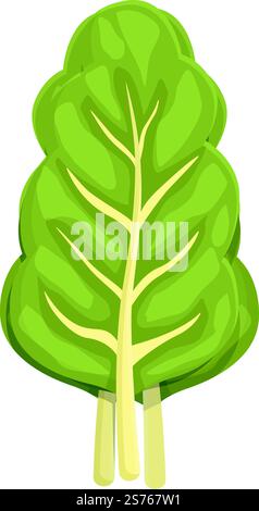 Healthy chard icon cartoon vector. Green plant. Nature organic Stock ...