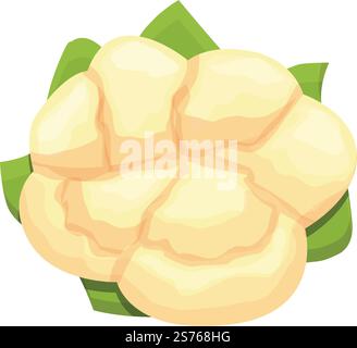 Brocoli cauliflower icon cartoon vector. Cabbage food. Organic farm ...