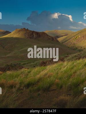 A scenic view of Oregon's plains and grasslands, showcasing vast open ...