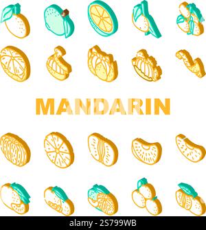 mandarin clementine orange fruit icons set vector Stock Vector Image ...