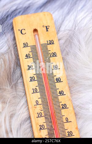 A beautifully crafted wooden thermometer elegantly rests on plush fur ...
