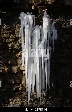Icicles form as water drips and freezes in cold temperatures. This ...