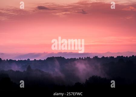 The silhouette of a hill and forest at sunset with pink sky, copy space ...