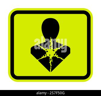 Health Hazard Symbol Label,Longer Term Health Hazard,GHS Hazard ...