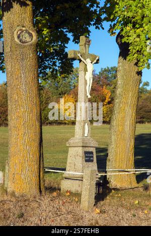 View of autumn forest, deciduous beech trees, Chriby, Czech Republic ...