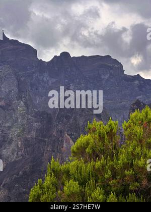 PR1 Madeira island Portugal forest fires dramatic contrast burnt earth ...