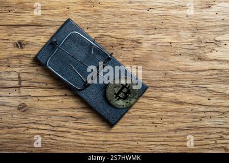 The bait is in a mousetrap. Gold bitcoin coin in a mousetrap. Risky ...