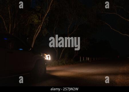 Headlights illuminate trees in the distance Stock Photo - Alamy