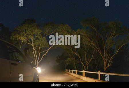 Headlights illuminate trees in the distance Stock Photo - Alamy