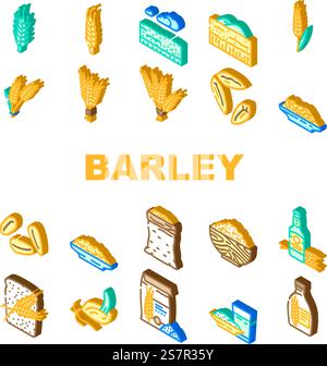 barley cereal grain harvest isometric icons set vector Stock Vector ...