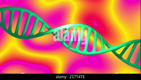 DNA strand image over vibrant pink and purple gradient background Stock ...