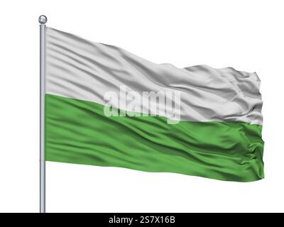 Agustin Codazzi City Flag On Flagpole, Colombia, Cesar Department ...