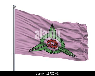 Hsinchu City Flag On Flagpole, China, Isolated On White Background ...