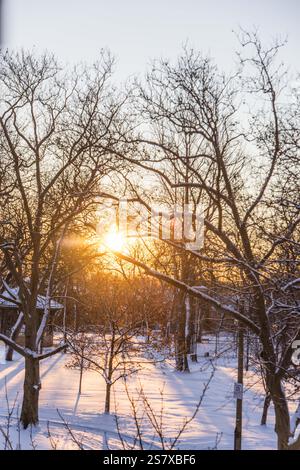 Jersey City, Uinited States. 20th Jan, 2025. Snow is seen accumulating ...