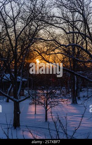 Jersey City, Uinited States. 20th Jan, 2025. Snow is seen accumulating ...