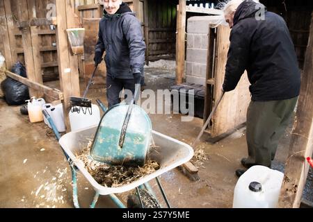 two males cleaning horses stable mucking out the yard ranch Stock Photo ...