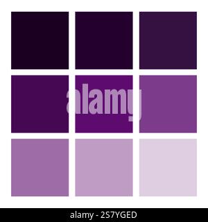 Purple Color Shades Swatches Palette with Names Stock Vector Image ...