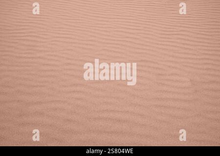 Color of the year 2025 (Mocha Mousse Stock Photo - Alamy