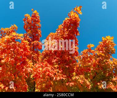Ajax Ontario waterfront park pathway by Lake Ontario Stock Photo - Alamy