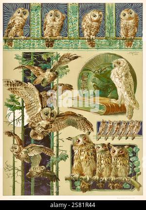 Anton Seder - The Animal in Decorative Arts - Intricate Art Nouveau ...