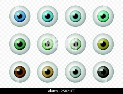 Realistic Vector Isolated Round Eyeballs Set With Various Pupil Colors ...