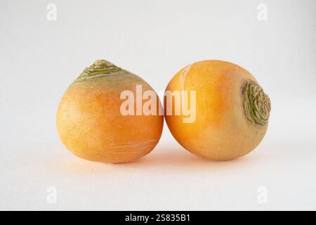 Orange turnip close-up on white background Stock Photo - Alamy