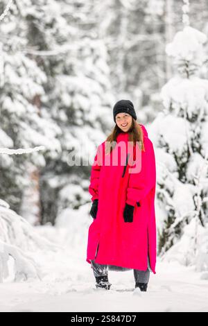 Icicle on and snow covered pink cherry blossoms Stock Photo - Alamy